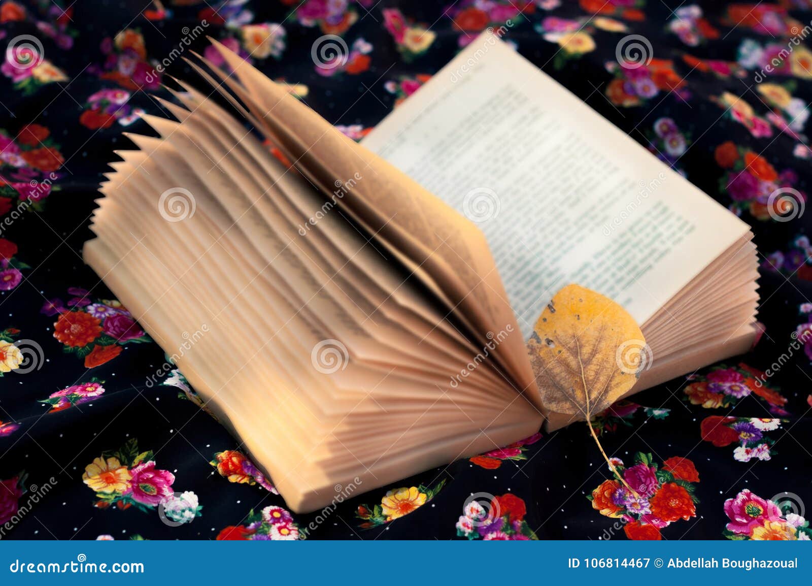 Geel blad op een open boek stock afbeelding. Image of pret - 106814467