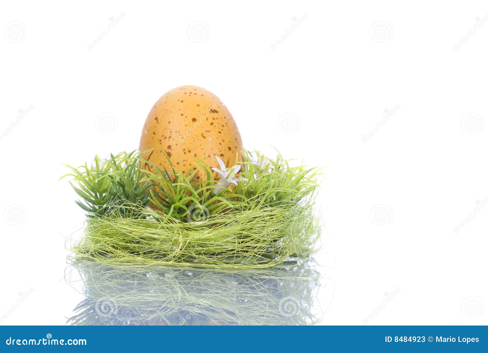 Geel Ei in Groen Nest - Pasen Concept Stock Afbeelding - Image of ...