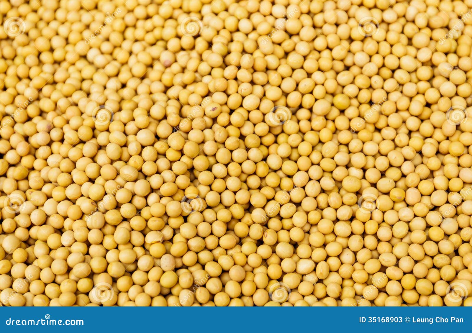 Geel Mosterdzaad stock afbeelding. Image of vers, macro - 35168903