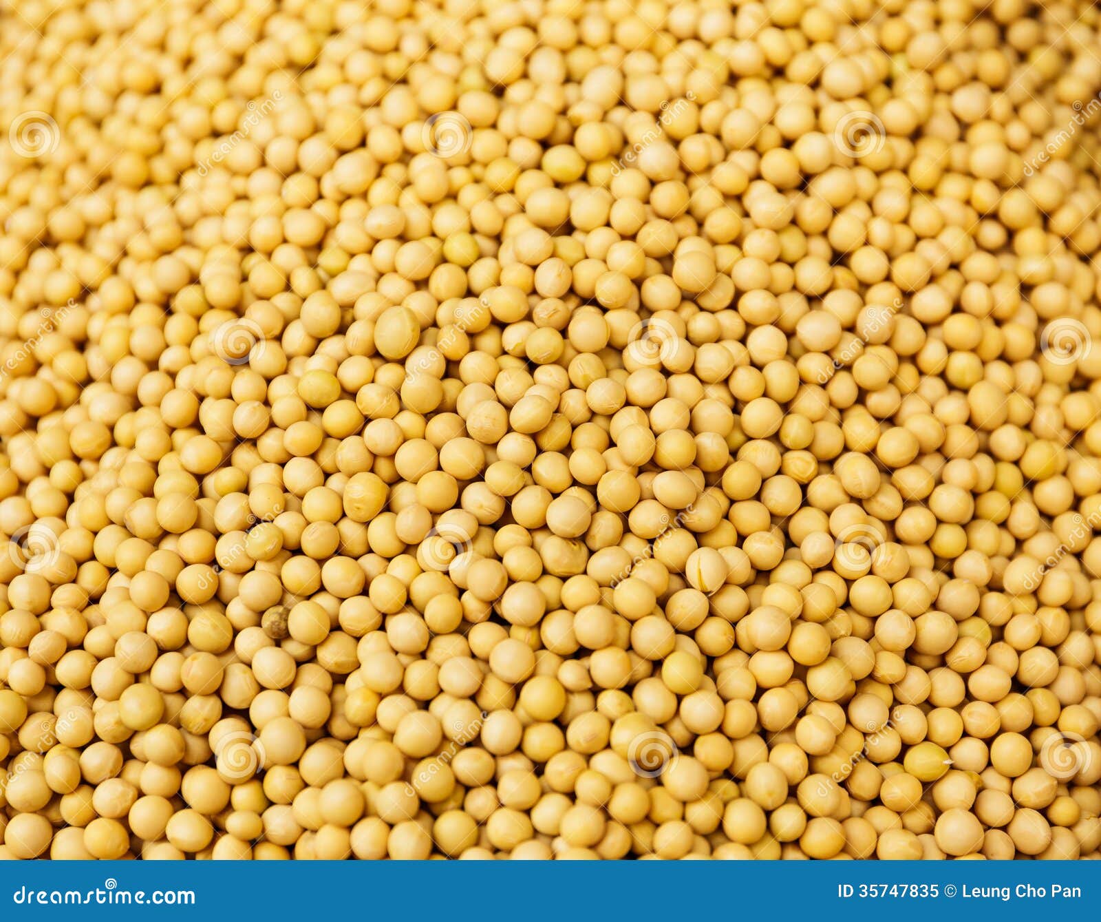 Geel Mosterdzaad stock afbeelding. Image of kruidig, specerij - 35747835