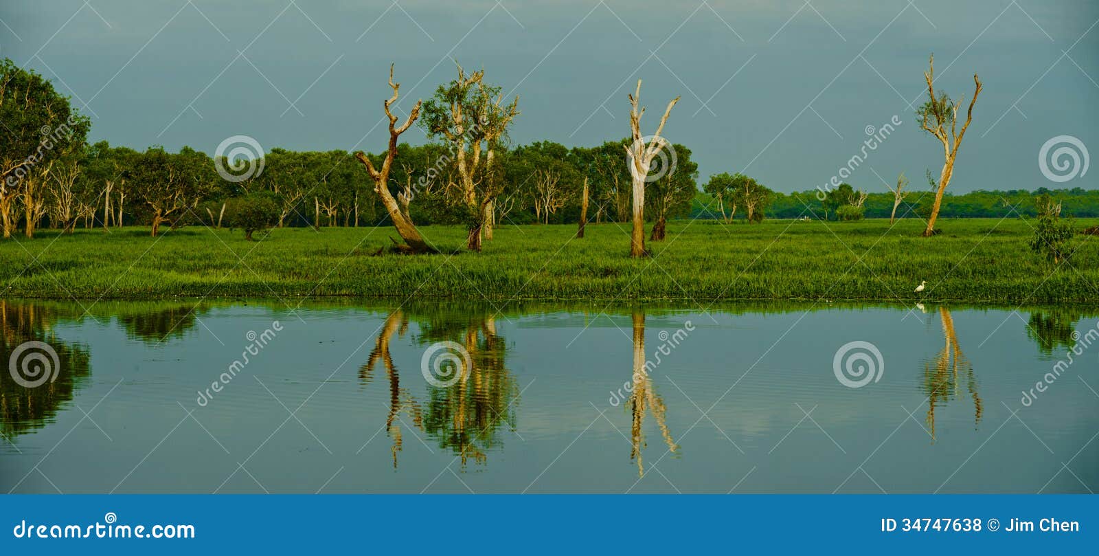 Geel Water stock foto. Image of zuiden, wild, huis, water - 34747638