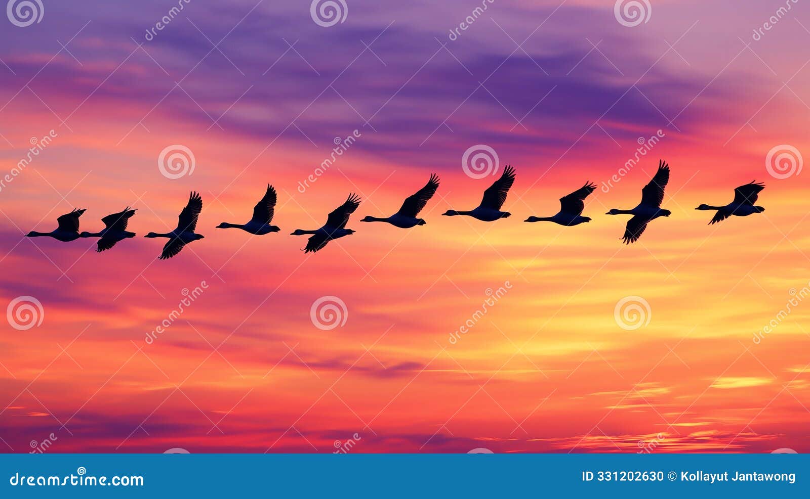 Geese Flying in V-Formation Against a Vibrant Sunset Stock Photo ...