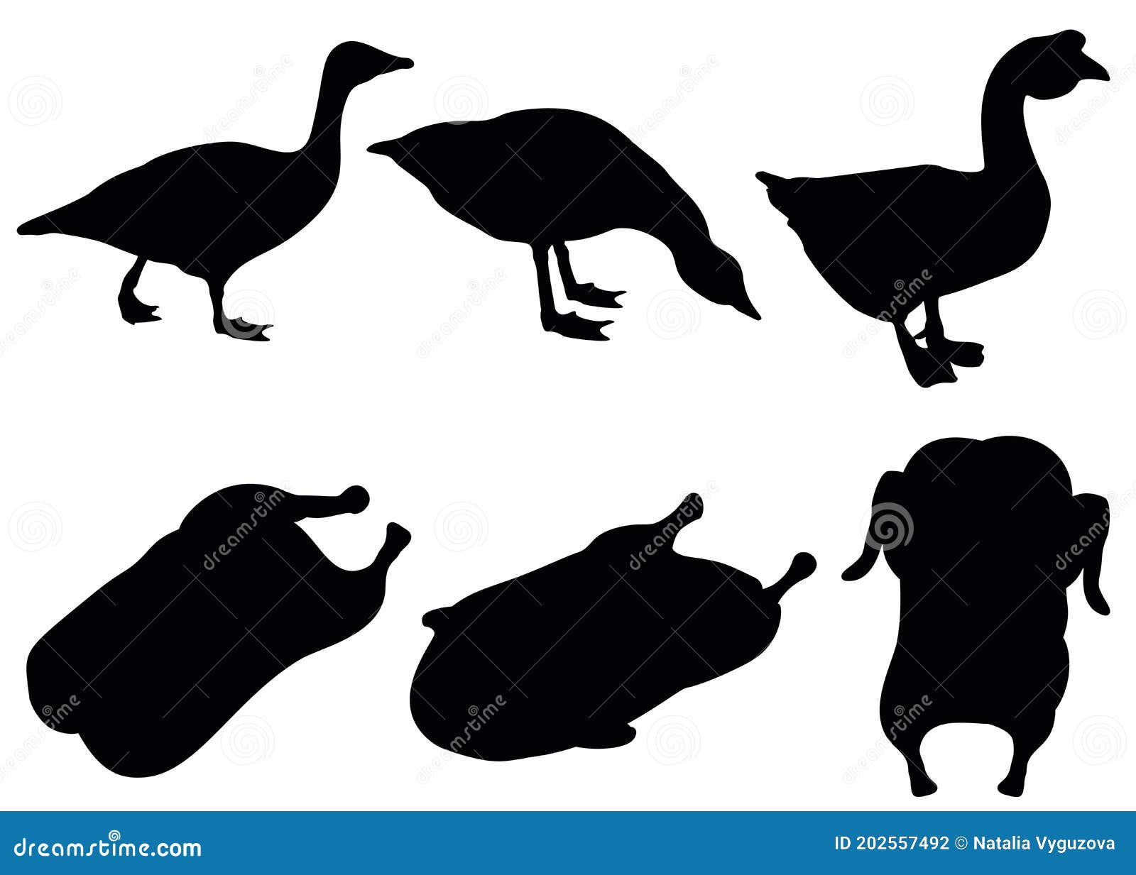 Geese and Goose Carcasses in the Set Stock Vector - Illustration of ...
