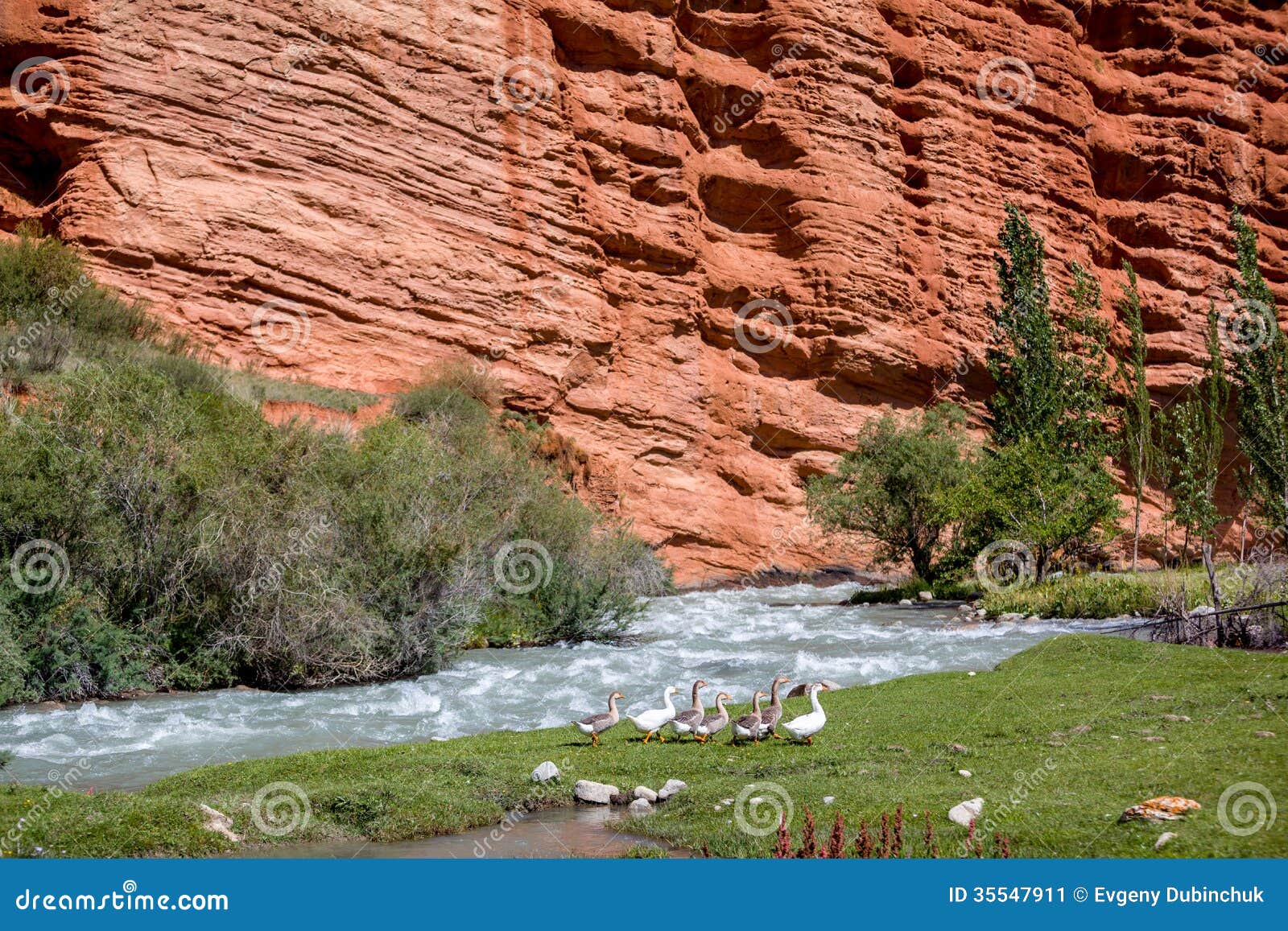 Geese at the River and Strange Rock Formations Stock Image - Image of ...