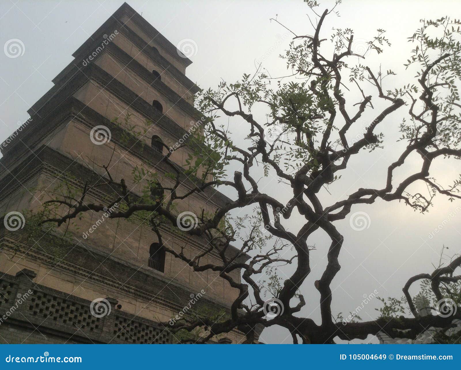 The Geese Tower China stock image. Image of ancientarchitecture - 105004649