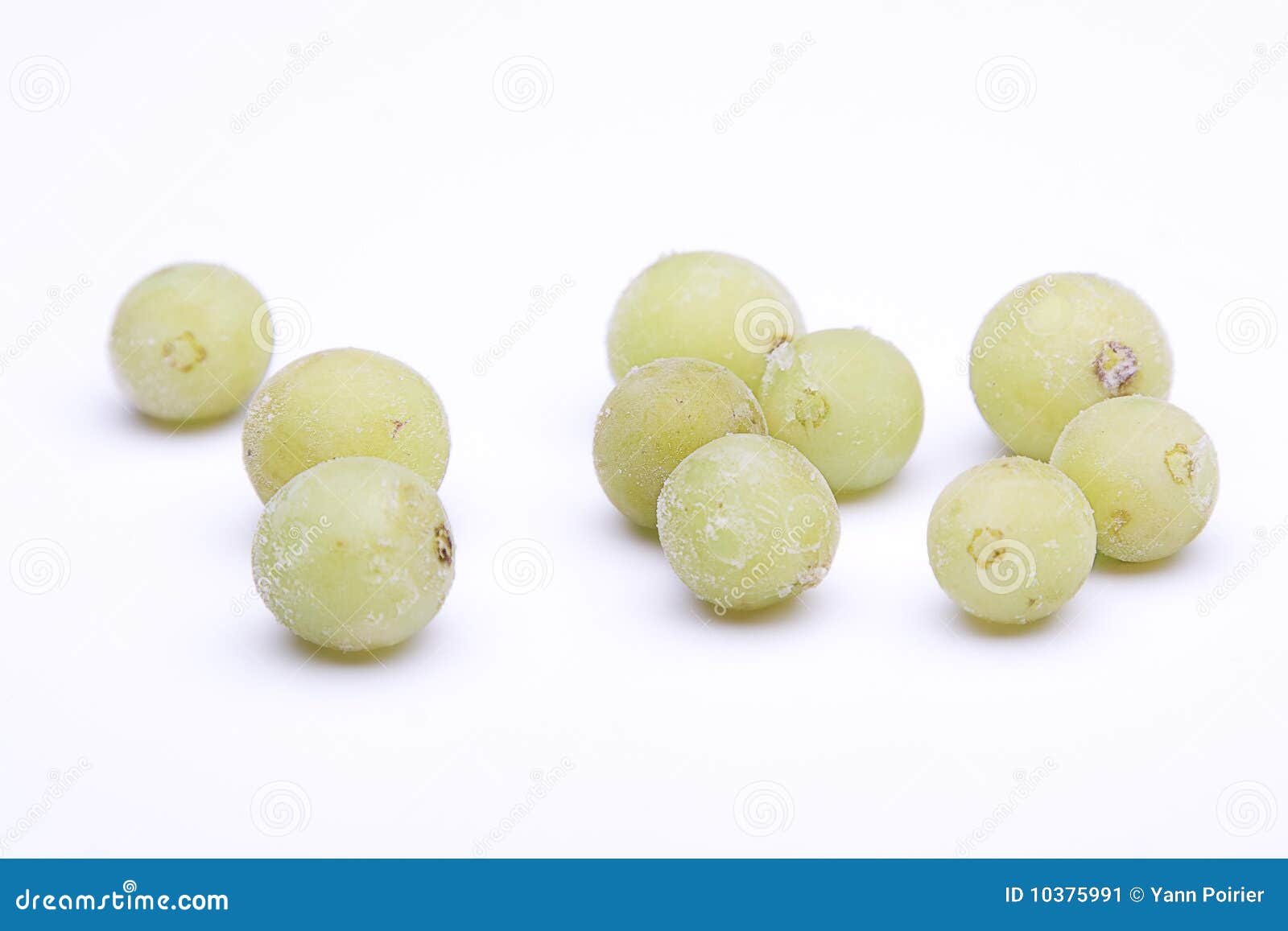 Gefrorene Trauben stockbild. Bild von erneuern, grün - 10375991