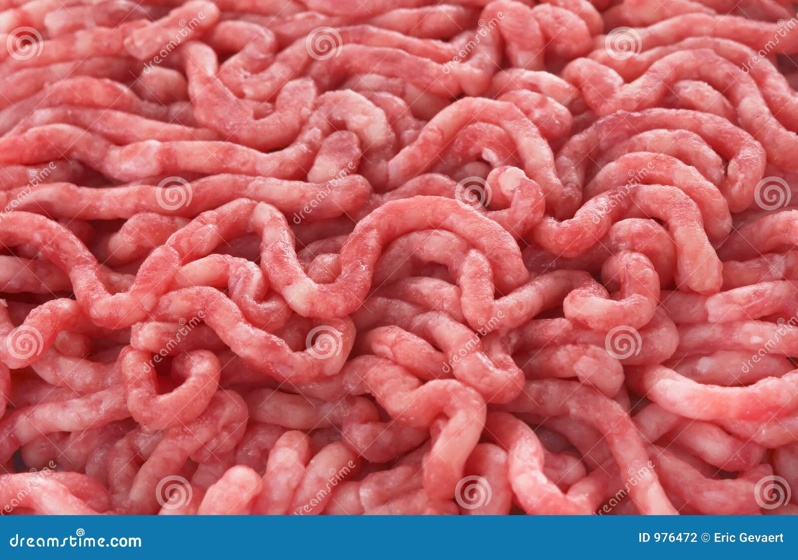 Gehacktes Fleisch stockfoto. Bild von nett, beschaffenheit - 976472