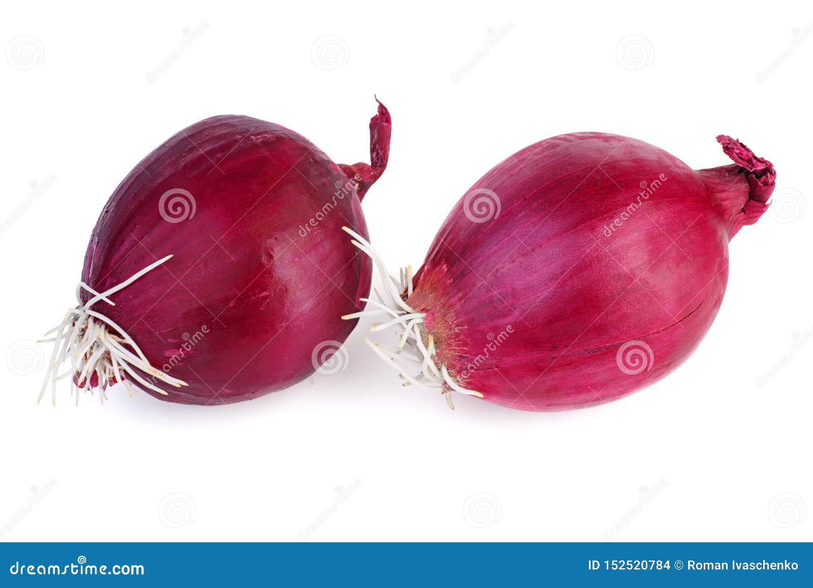 Gehalte rode uien stock foto. Image of gezond, vitamine - 152520784