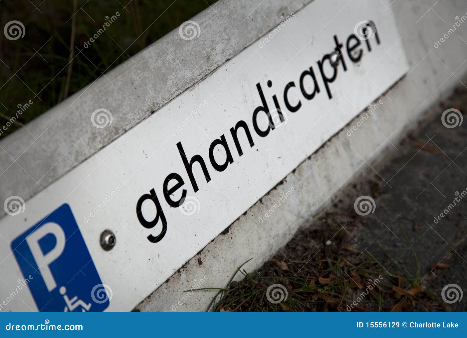 Gehandicapten stock image. Image of dutch, high, disabled - 15556129