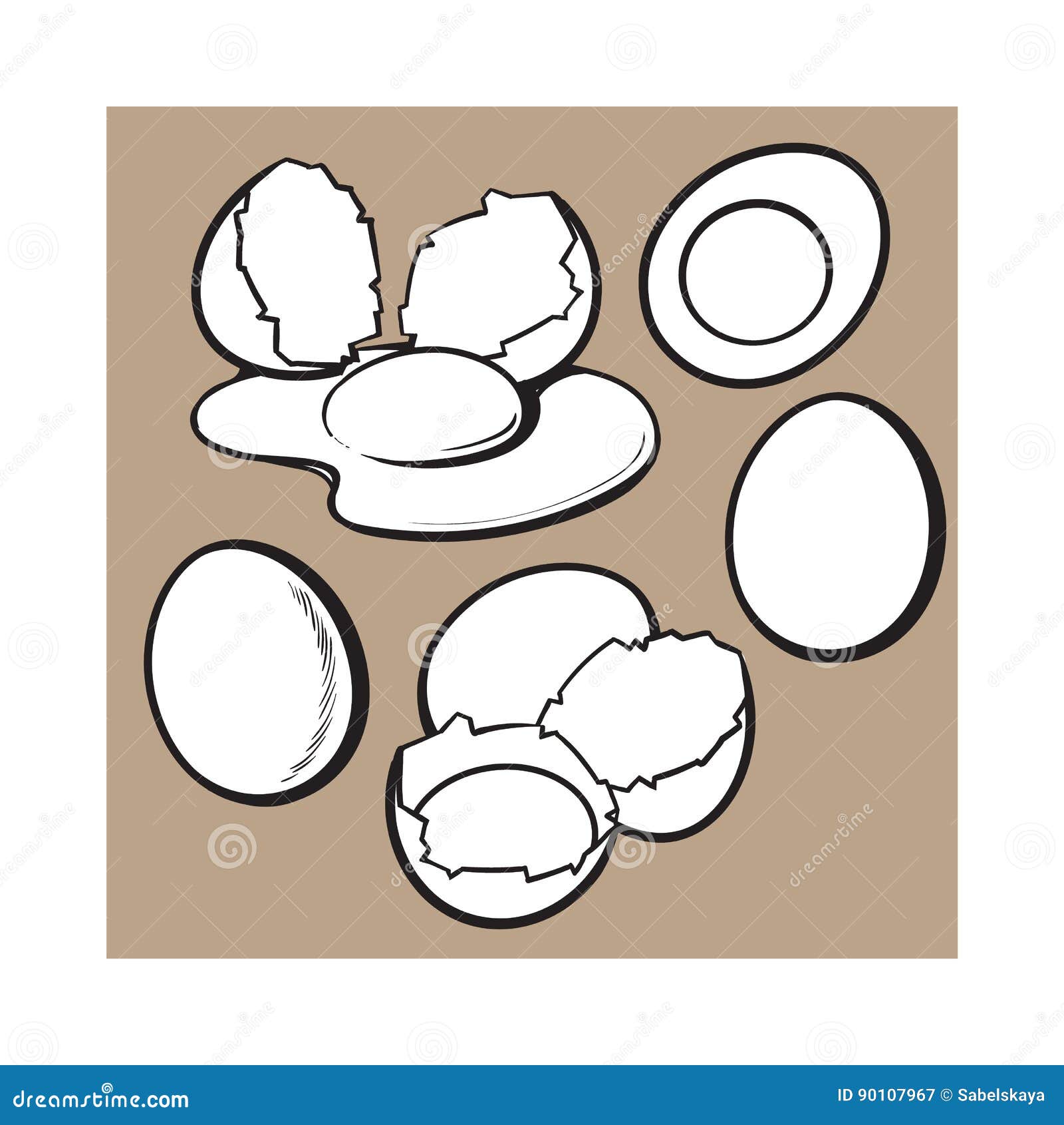 Geheel En Gebarsten, De Gebroken Shell Samenstelling Van Het Kippenei ...