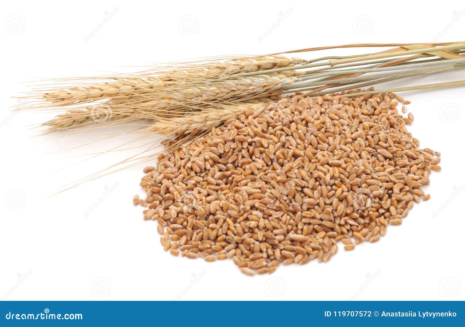 Gehele korrel van tarwe stock foto. Image of brood, vrucht - 119707572