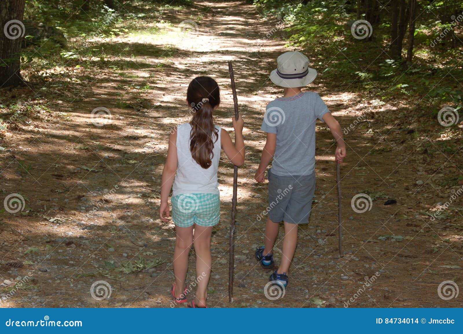 Gehen durch das Holz stockfoto. Bild von pfad, spur, steuerknüppel ...