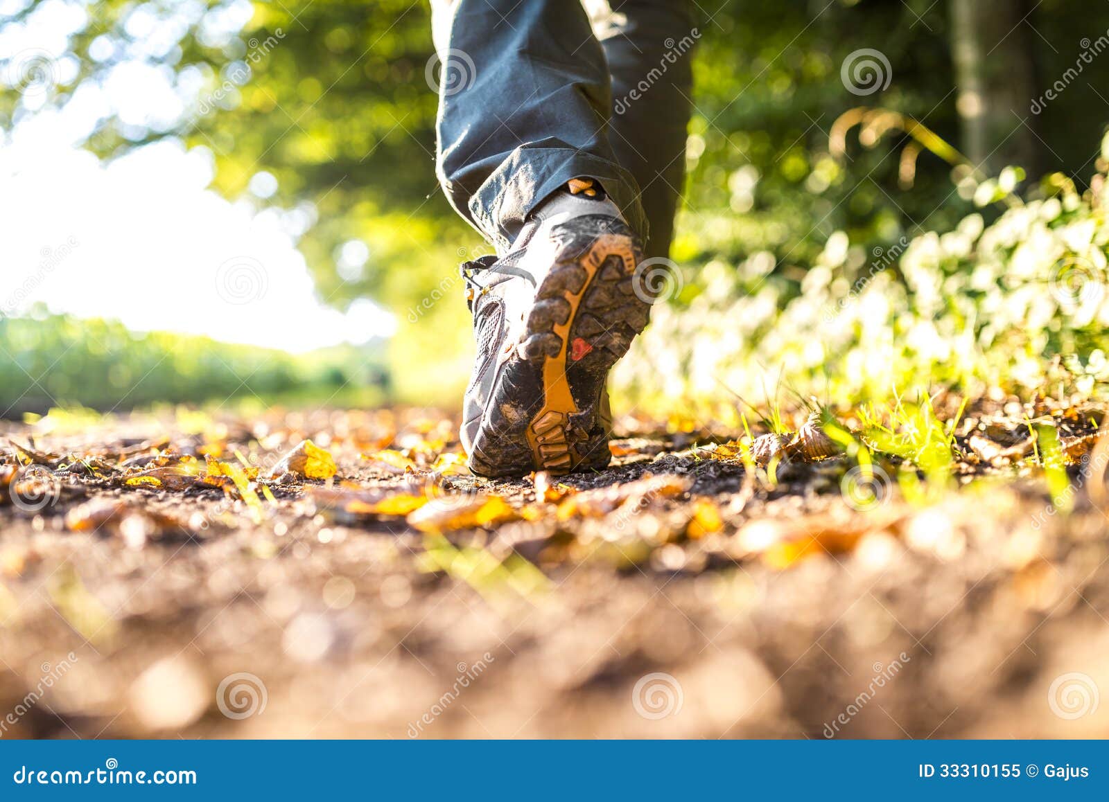 Gehen in Natur stockbild. Bild von tageslicht, landschaft - 33310155
