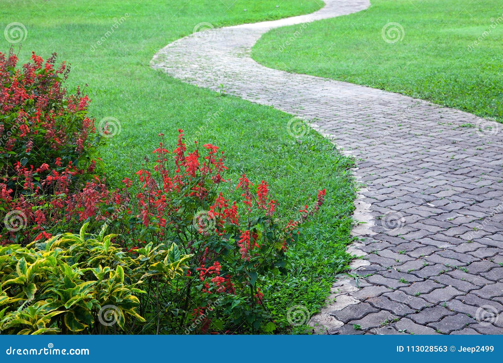 Gehweg auf dem Rasen stockbild. Bild von pfad, methode - 113028563
