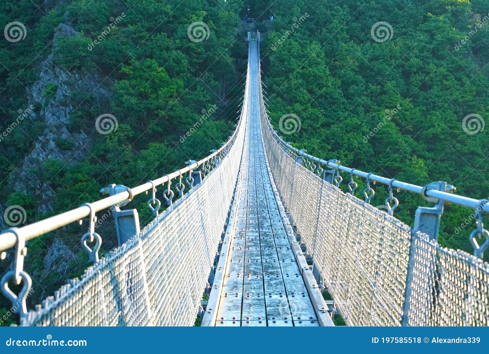 Geierlay Suspension Rope Bridge Stock Photo - Image of outdoor, cycling ...