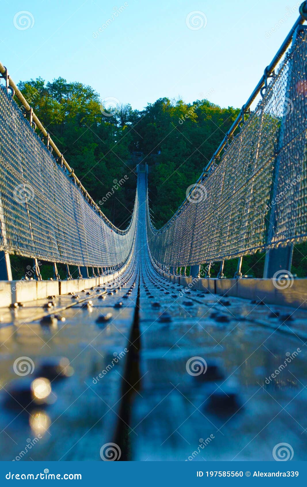 Geierlay Suspension Rope Bridge Stock Photo - Image of sunset, activity ...