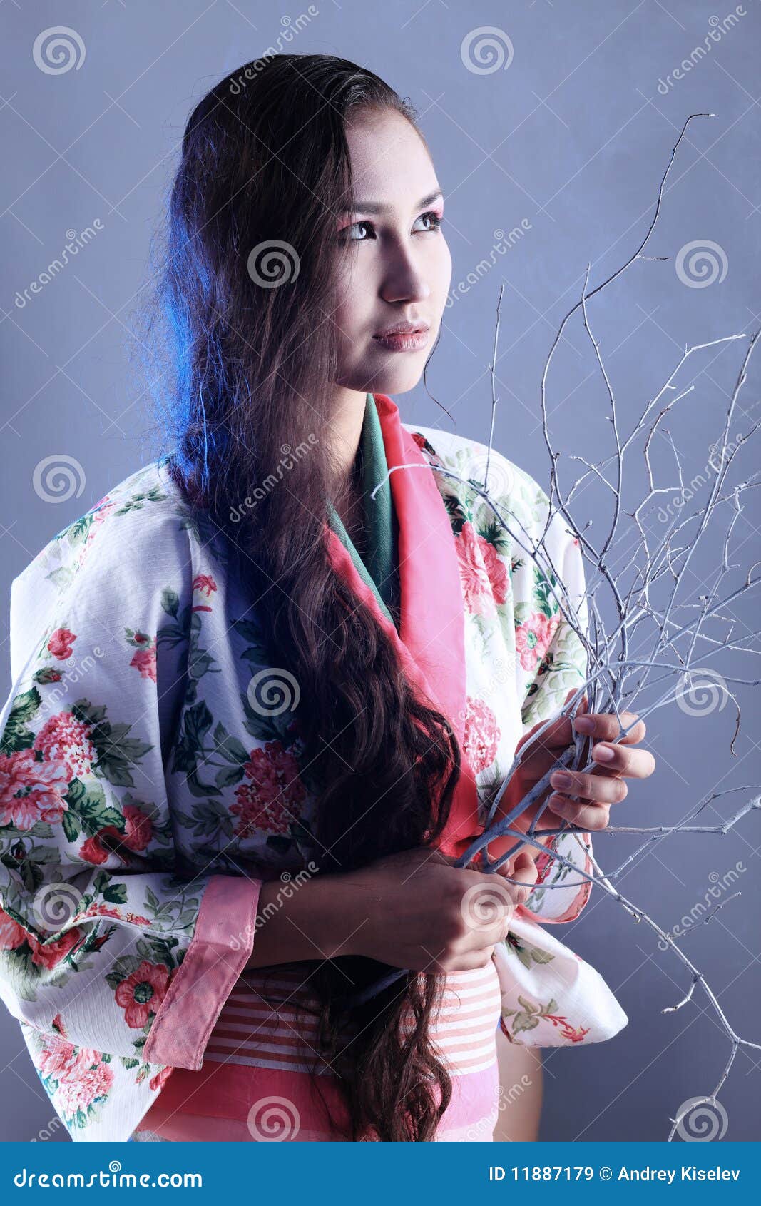 Geisha stock image. Image of portrait, costume, beautiful - 11887179