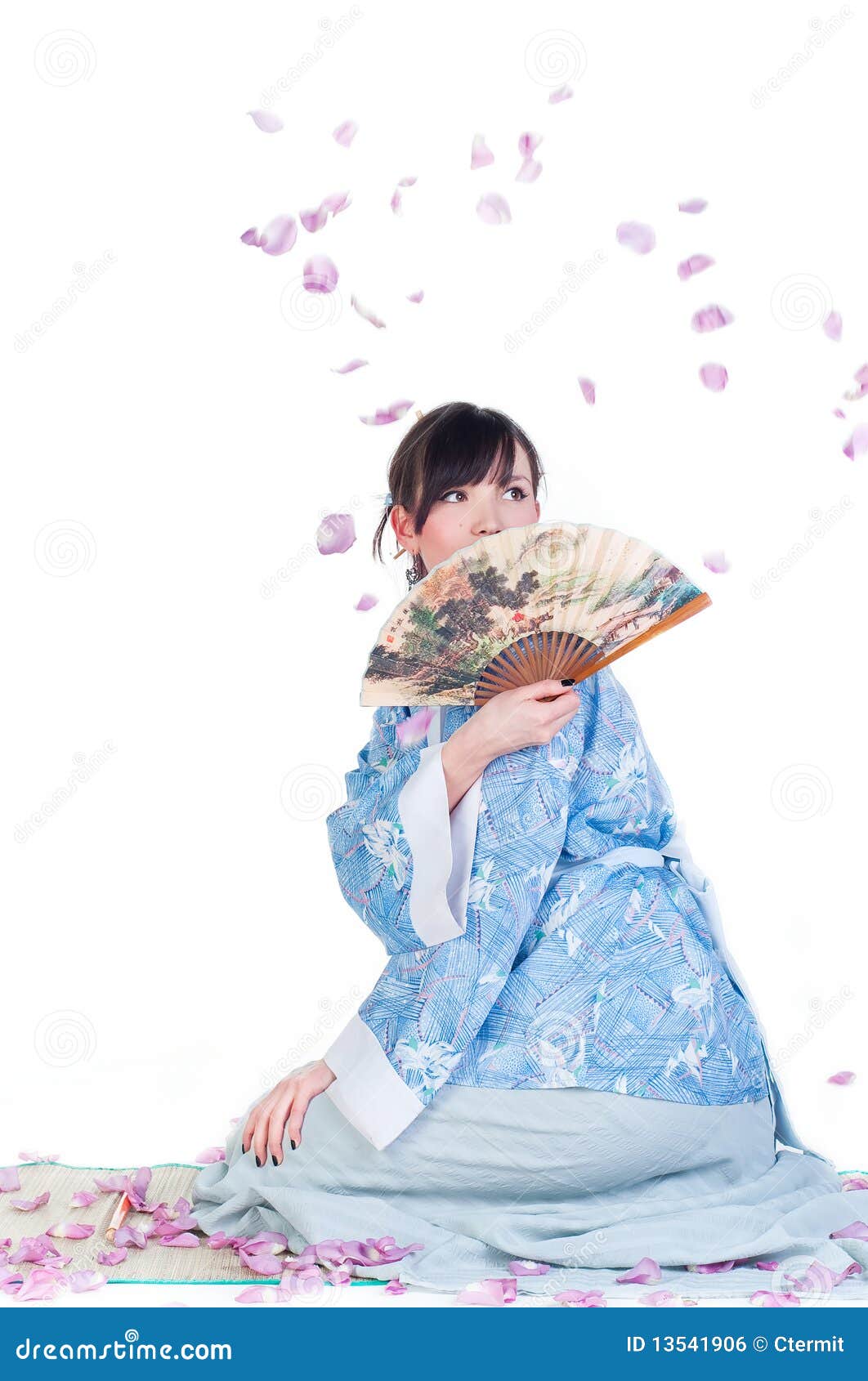 Geisha in blue kimono stock photo. Image of brown, fashion - 13541906