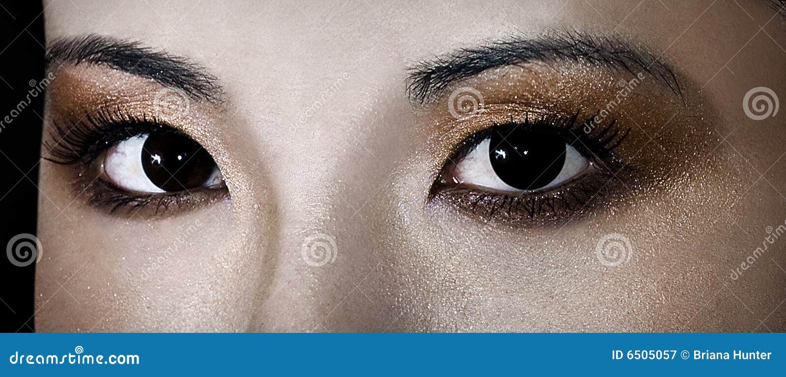 Geisha Gaze stock image. Image of sparkling, woman, piercing - 6505057