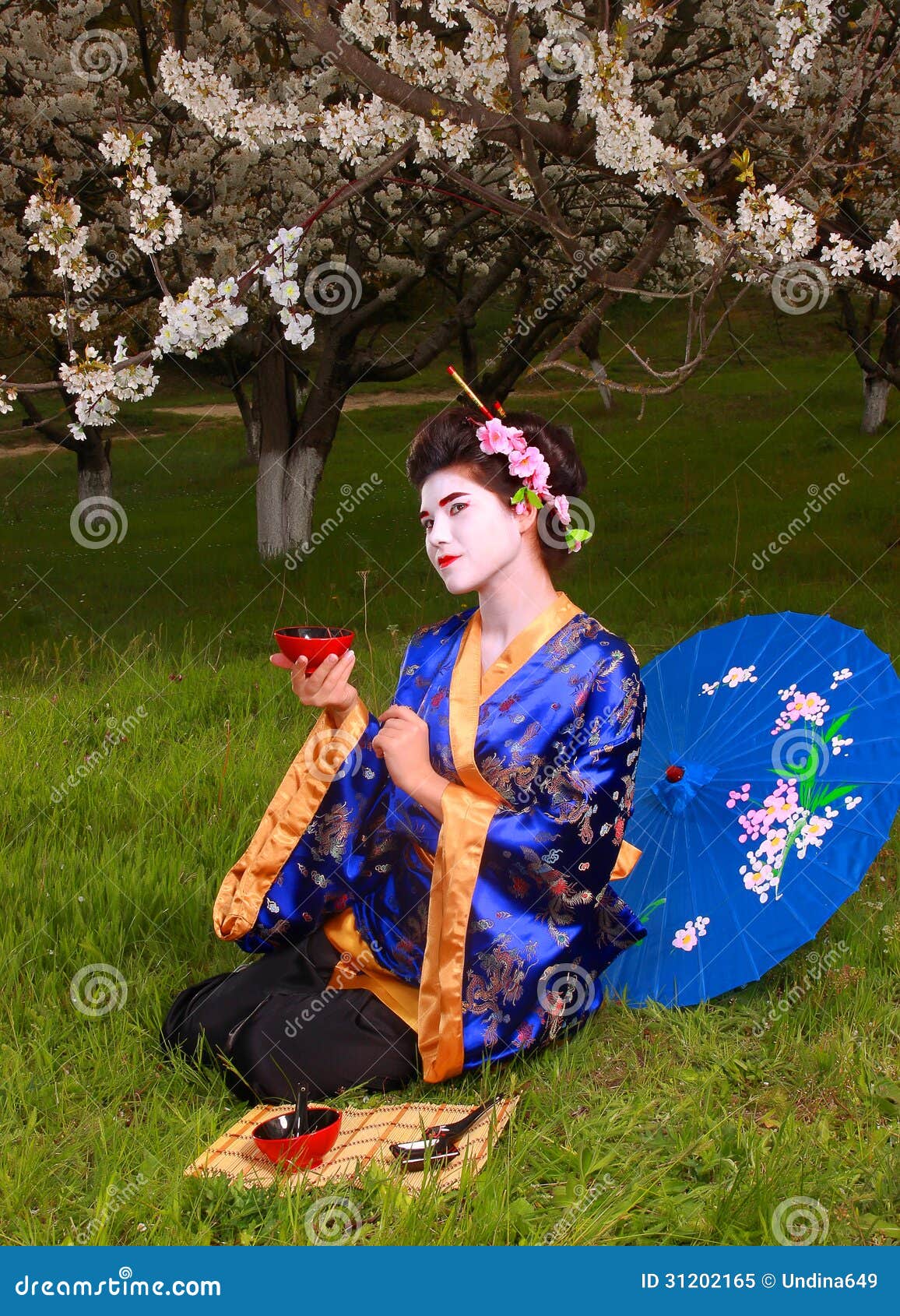 Geisha stock image. Image of makeup, historic, blossom - 31202165