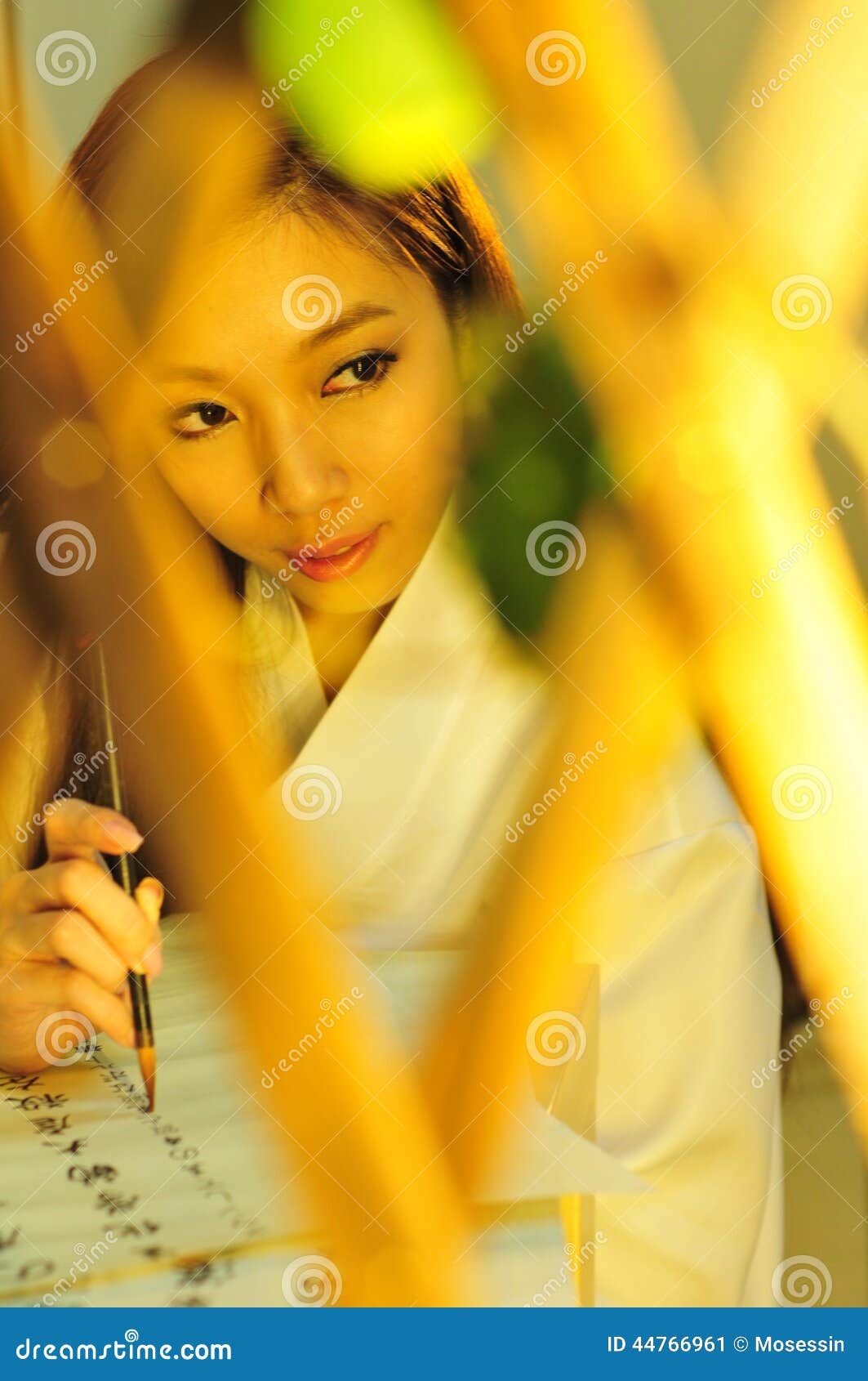 Geisha stock image. Image of geisha, japan, words, style - 44766961