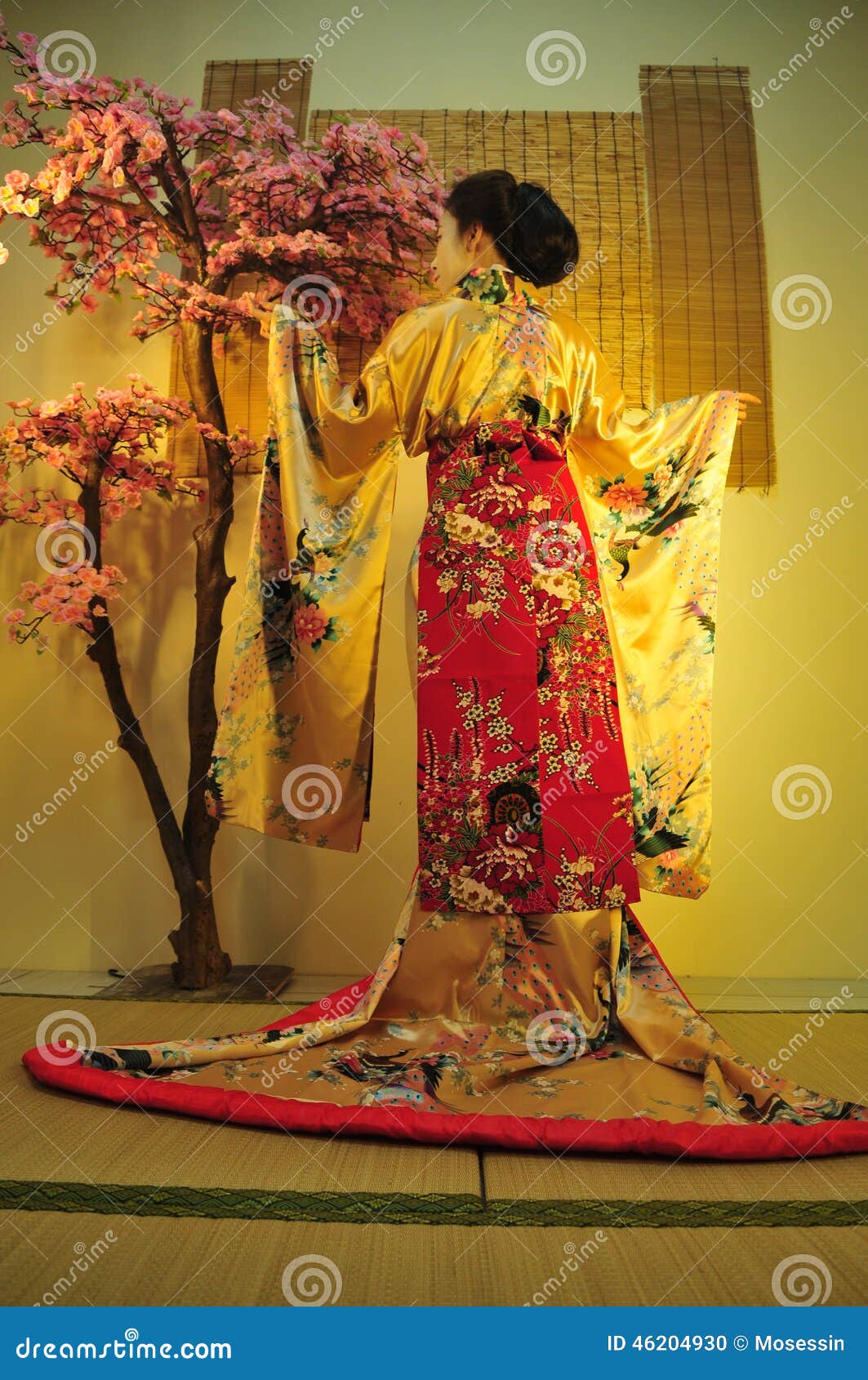 Geisha stock photo. Image of geiko, kimono, hostesses - 46204930