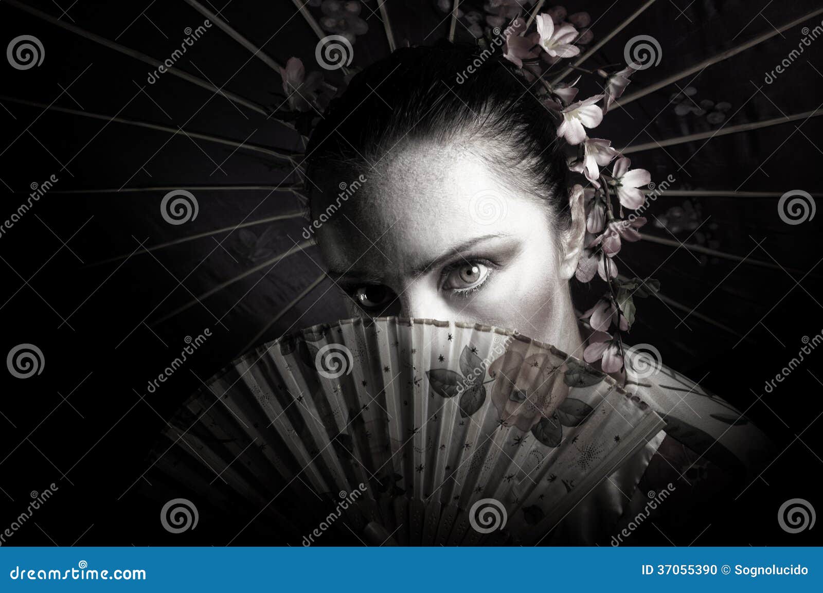 Geisha stock photo. Image of obedient, face, japanese - 37055390