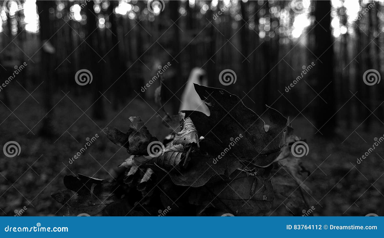 Geist stockfoto. Bild von geist, geister, frau, schattenbild - 83764112
