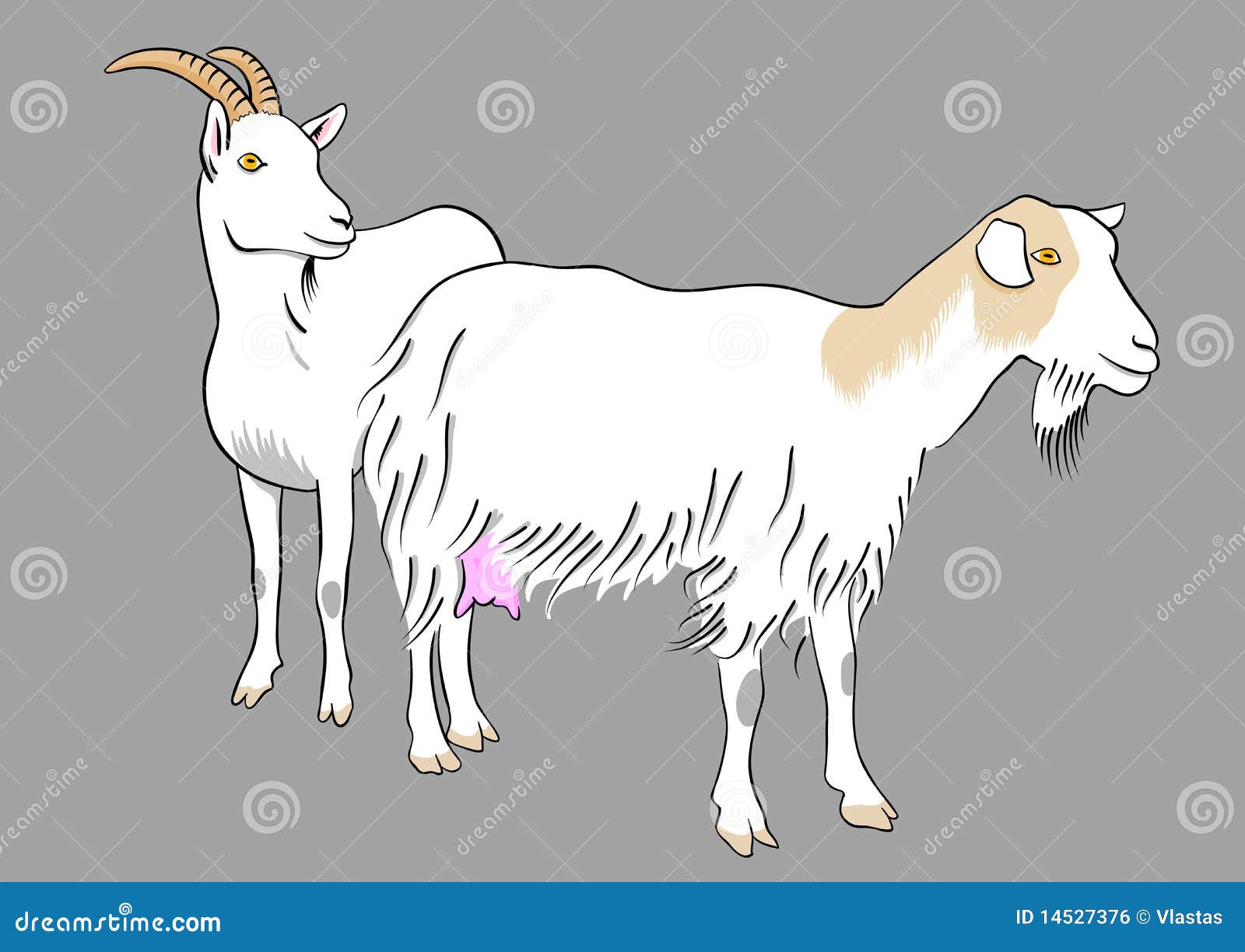 Geit vector illustratie. Illustration of binnenlands - 14527376