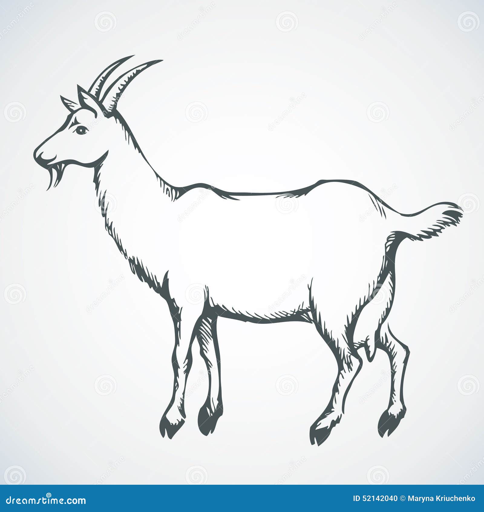 Tekening Van Geitenprofiel Geit Hoofd Tekening Afbeeldingen PNG