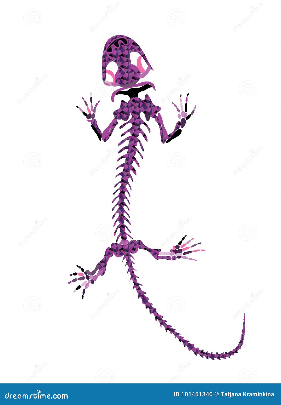 Gekko Ancient Skeletons Vector Art. Stock Illustration - Illustration ...