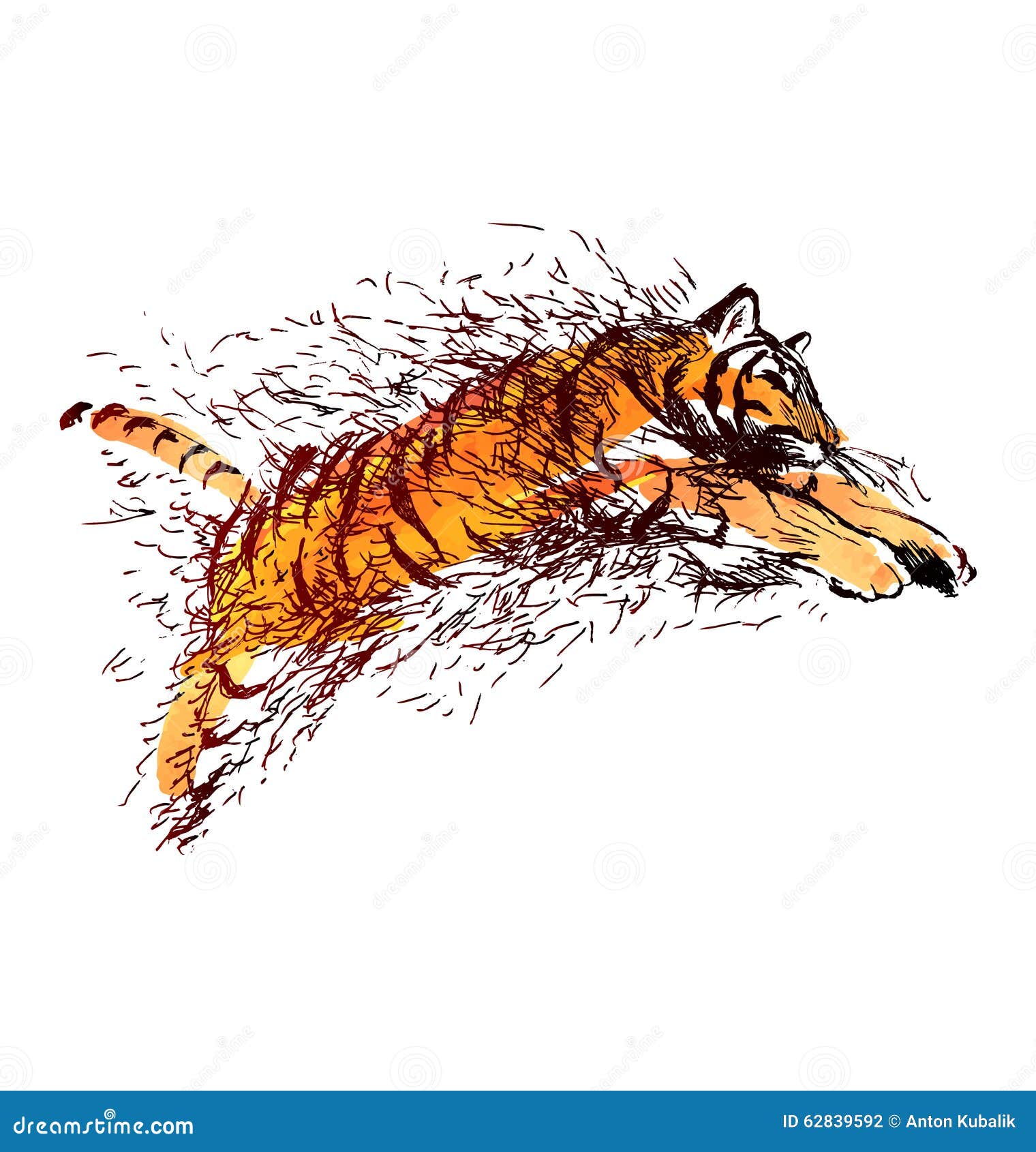 Gekleurde Schets Springende Tijger Vector Illustratie - Illustration of ...