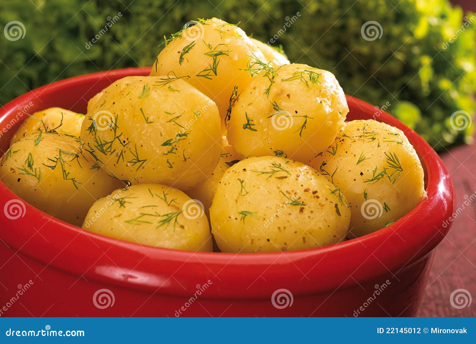 Gekookte aardappels stock foto. Image of venkel, aardappel - 22145012