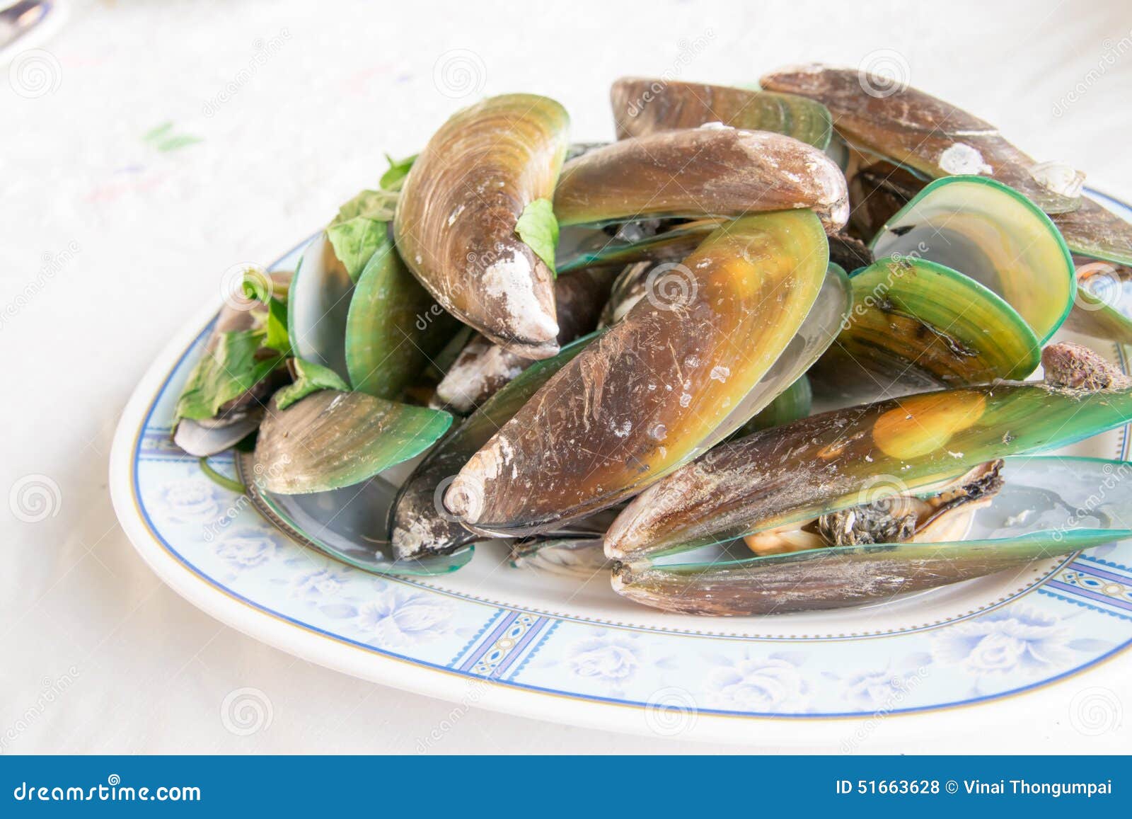 Gekookte kokkels stock foto. Image of plantaardig, overzees - 51663628