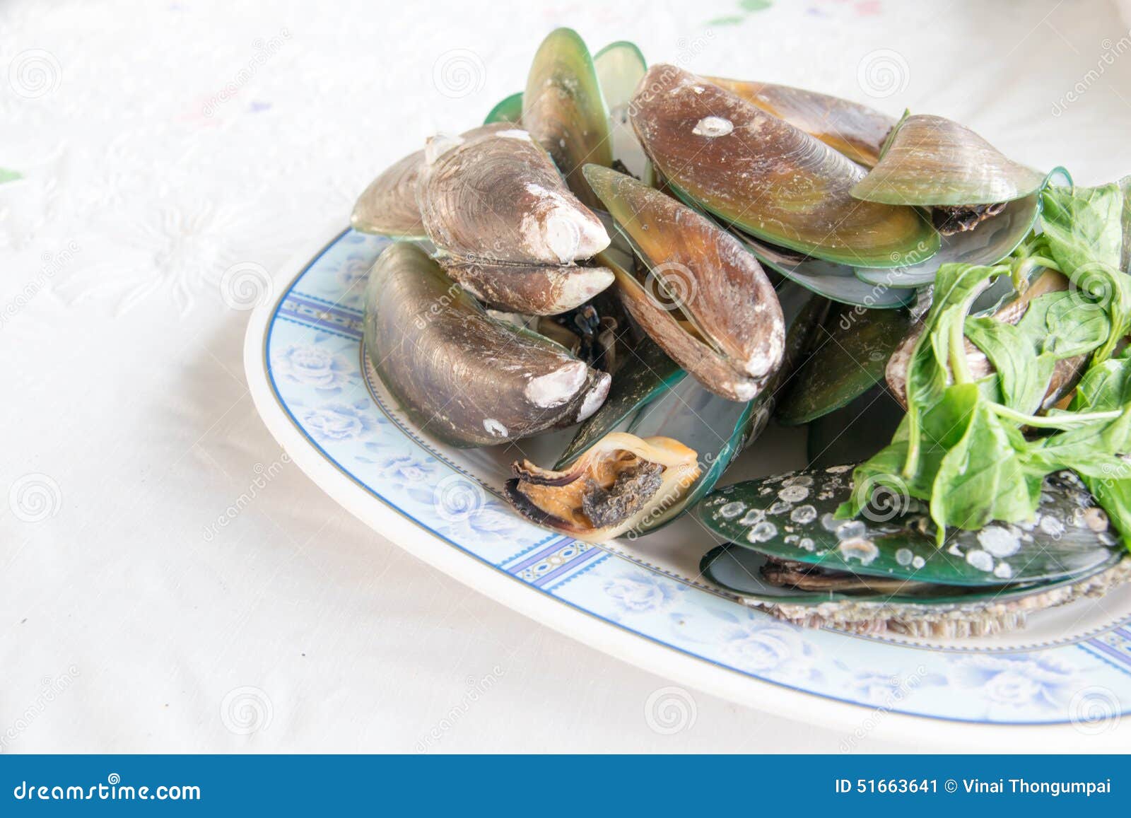 Gekookte kokkels stock afbeelding. Image of overzees - 51663641