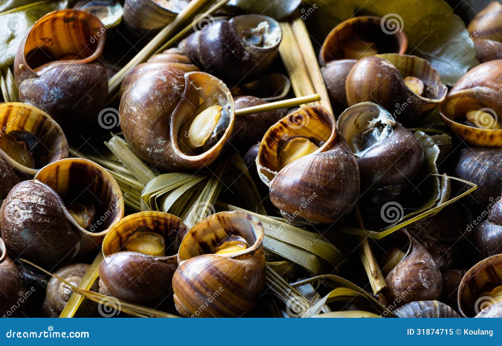 Gekookte slak stock afbeelding. Image of spier, heerlijk - 31874715