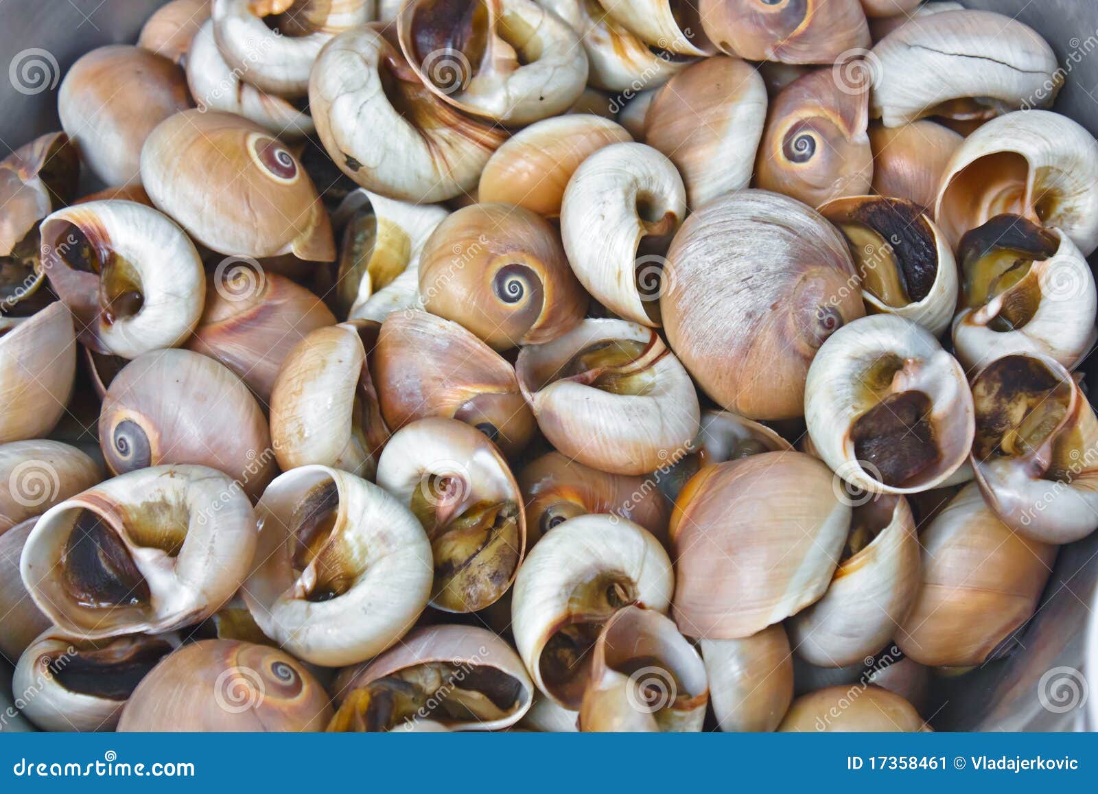 Gekookte slakken stock afbeelding. Image of kook, slak - 17358461