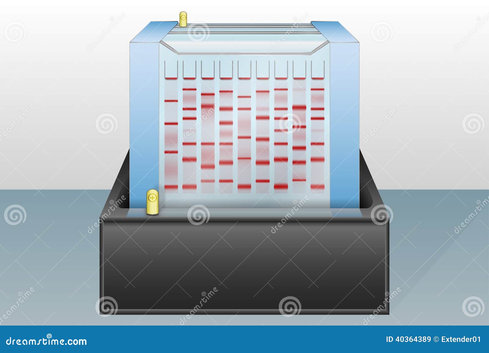 Electrophoresis Cartoons, Illustrations & Vector Stock Images - 399 ...