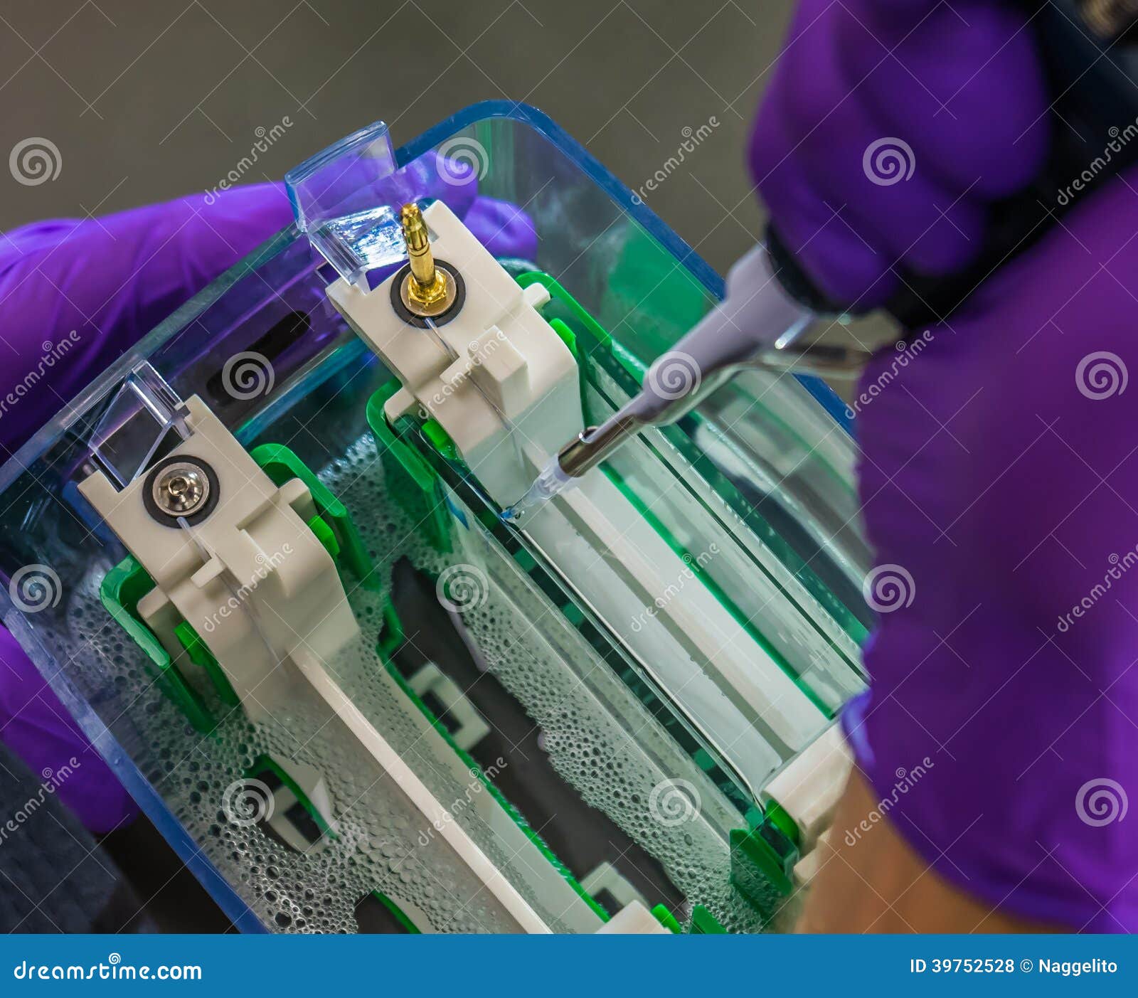 Gel Electrophoresis stock photo. Image of laboratory - 39752528