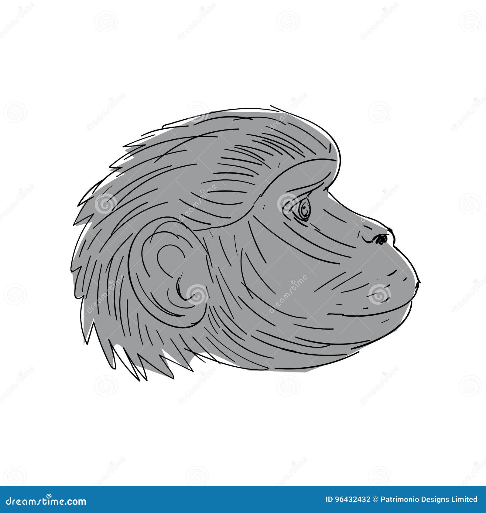 Monkey Side View Line Icon Vector Illustration | CartoonDealer.com ...