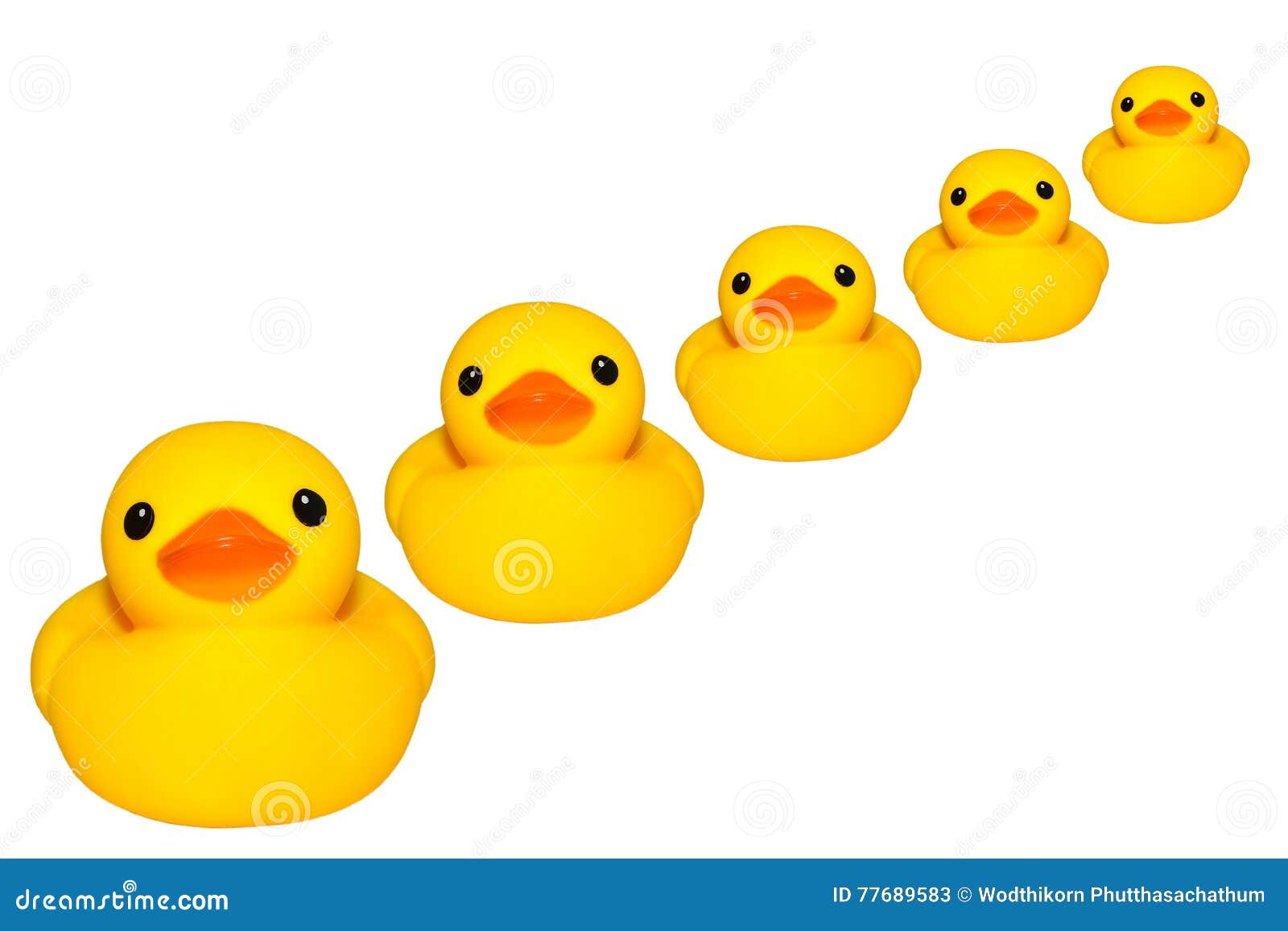 Gelbe Ente lokalisiert stockbild. Bild von küken, schwimmbad - 77689583