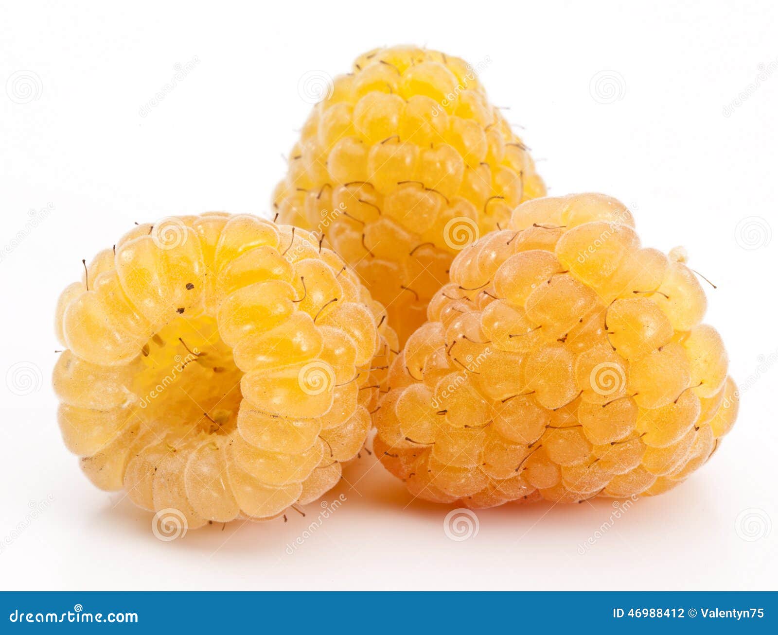 Gelbe Himbeeren stockfoto. Bild von geschmack, vegetarier - 46988412