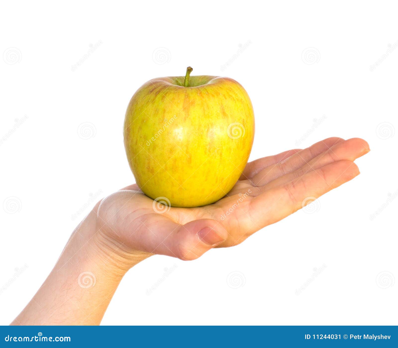 Gelber Apfel Auf Weiblicher Palme Stockbild - Bild von geben, frau ...