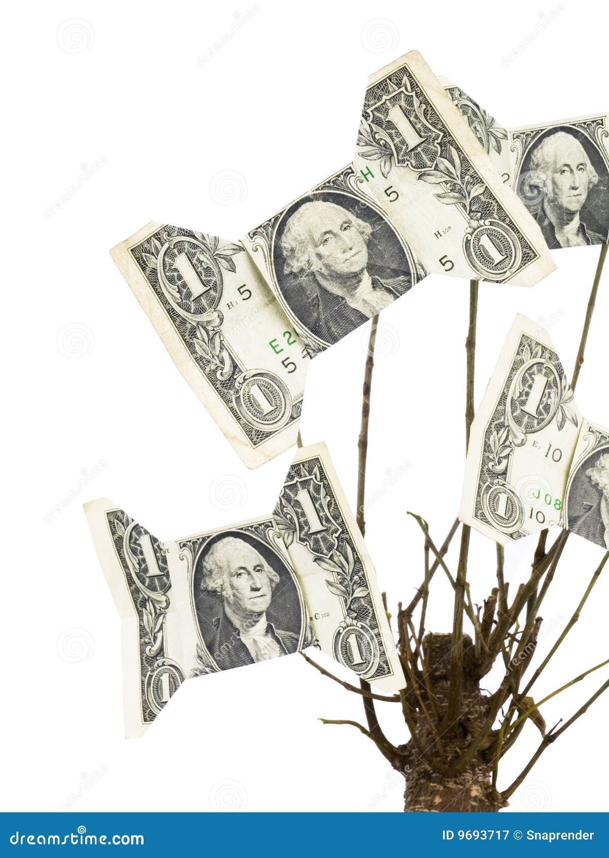 Geld-Baum stockbild. Bild von bargeld, hintergrund, geld - 9693717