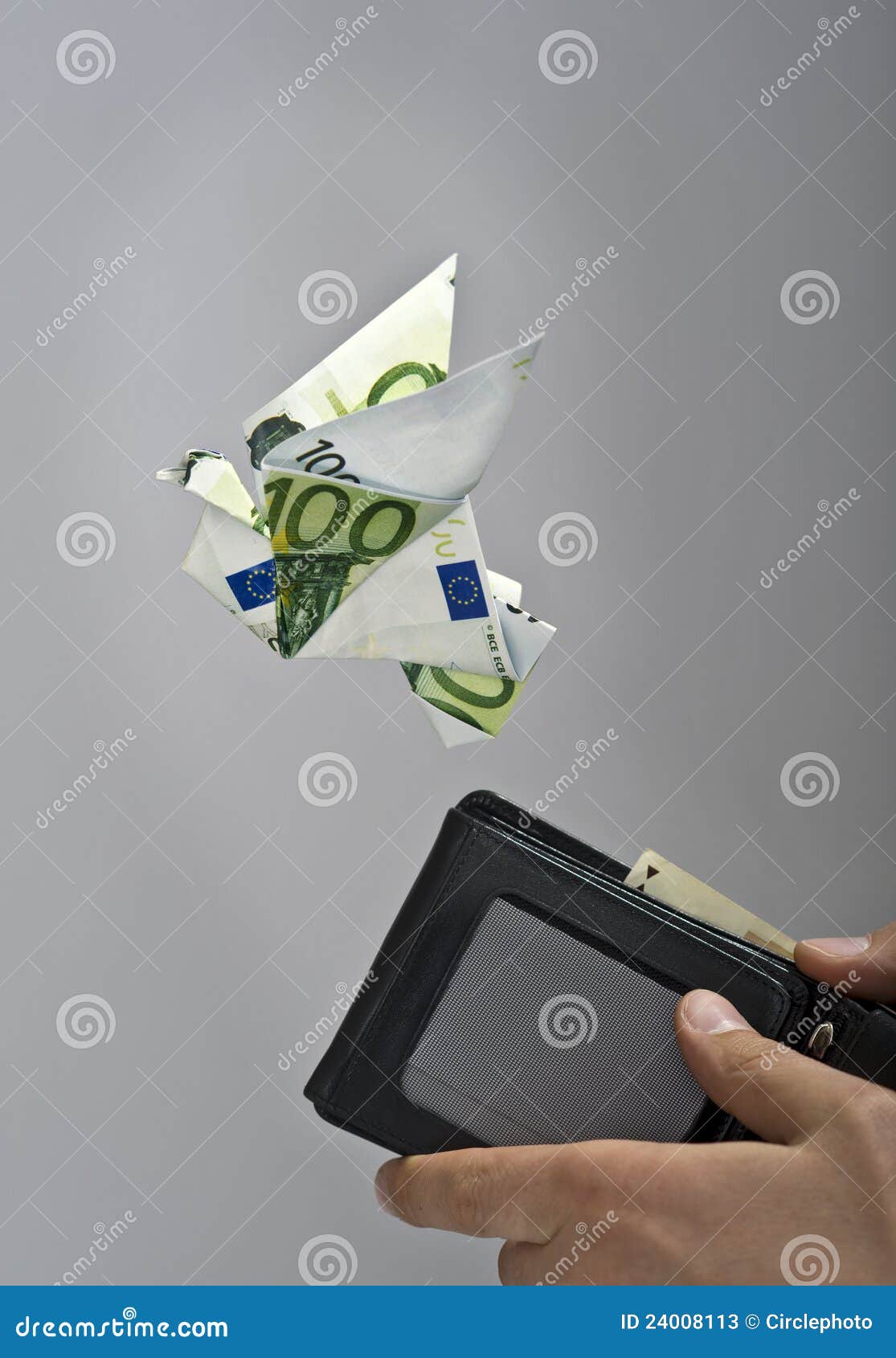 Geld dat wegvliegt stock afbeelding. Image of toekomst - 24008113