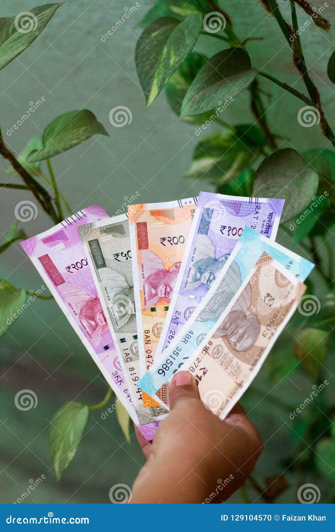 Geld Met De Indische Munt Van De Geldinstallatie Stock Foto - Image of ...