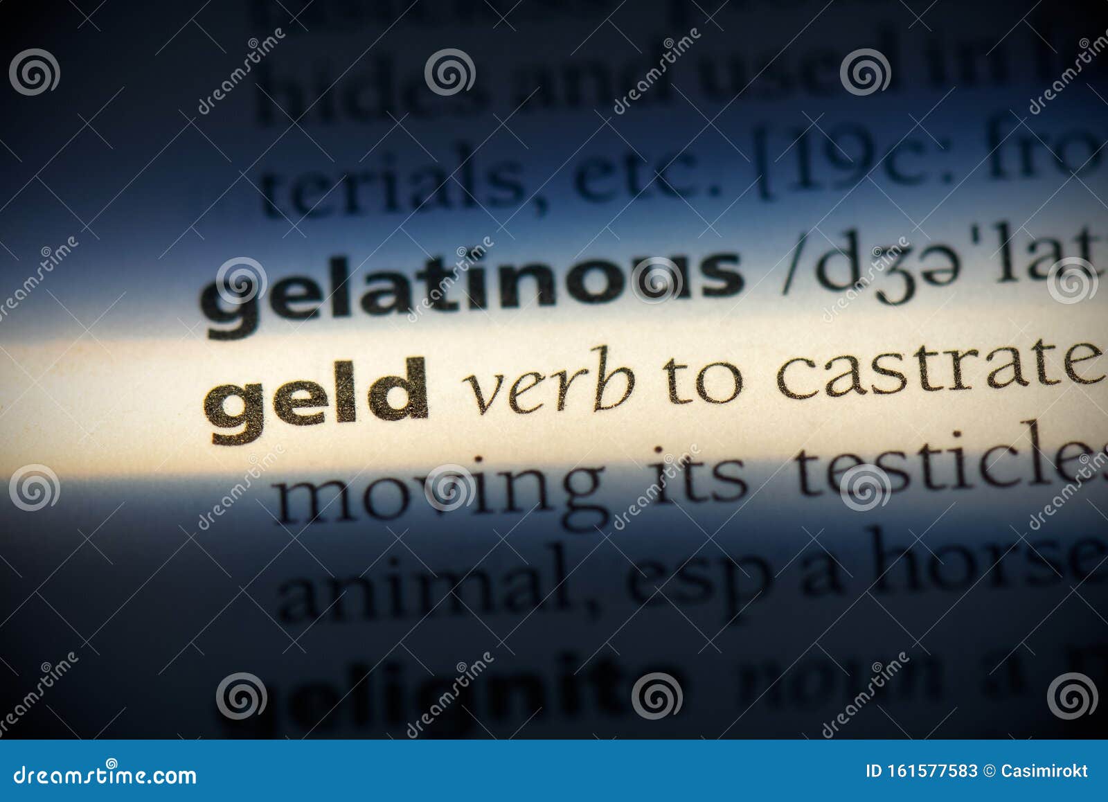 Geld stock image. Image of page, paper, dictionary, closeup - 161577583
