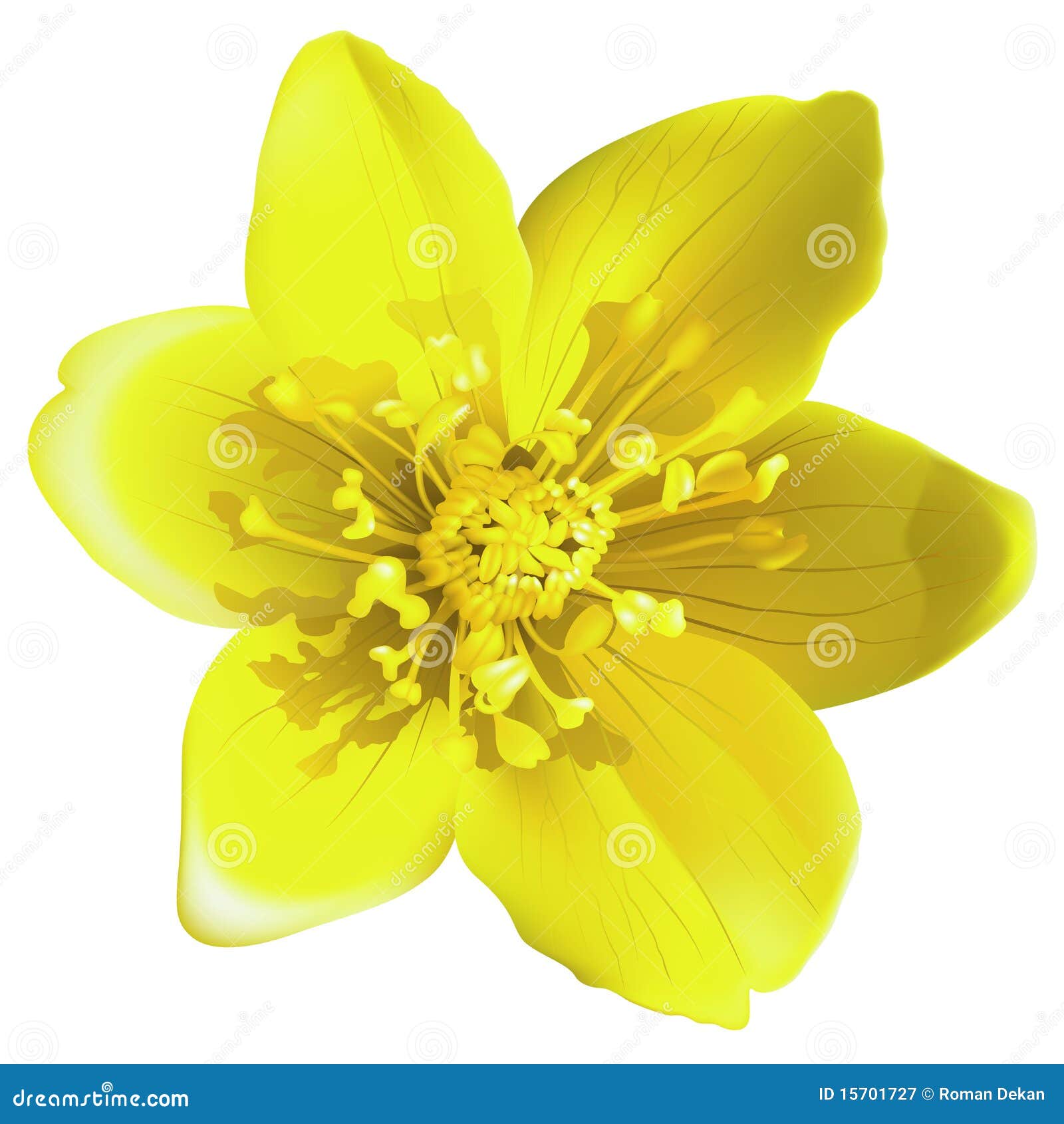 Gele Bloem vector illustratie. Illustration of nave, illustratie - 15701727
