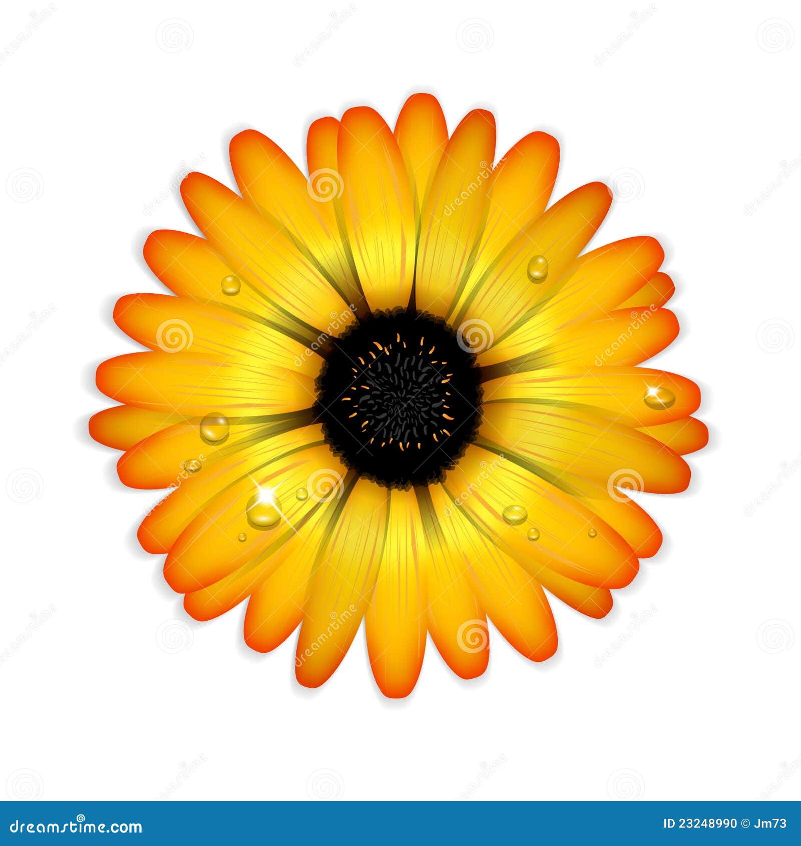 Gele bloem vector illustratie. Illustration of bloemist - 23248990