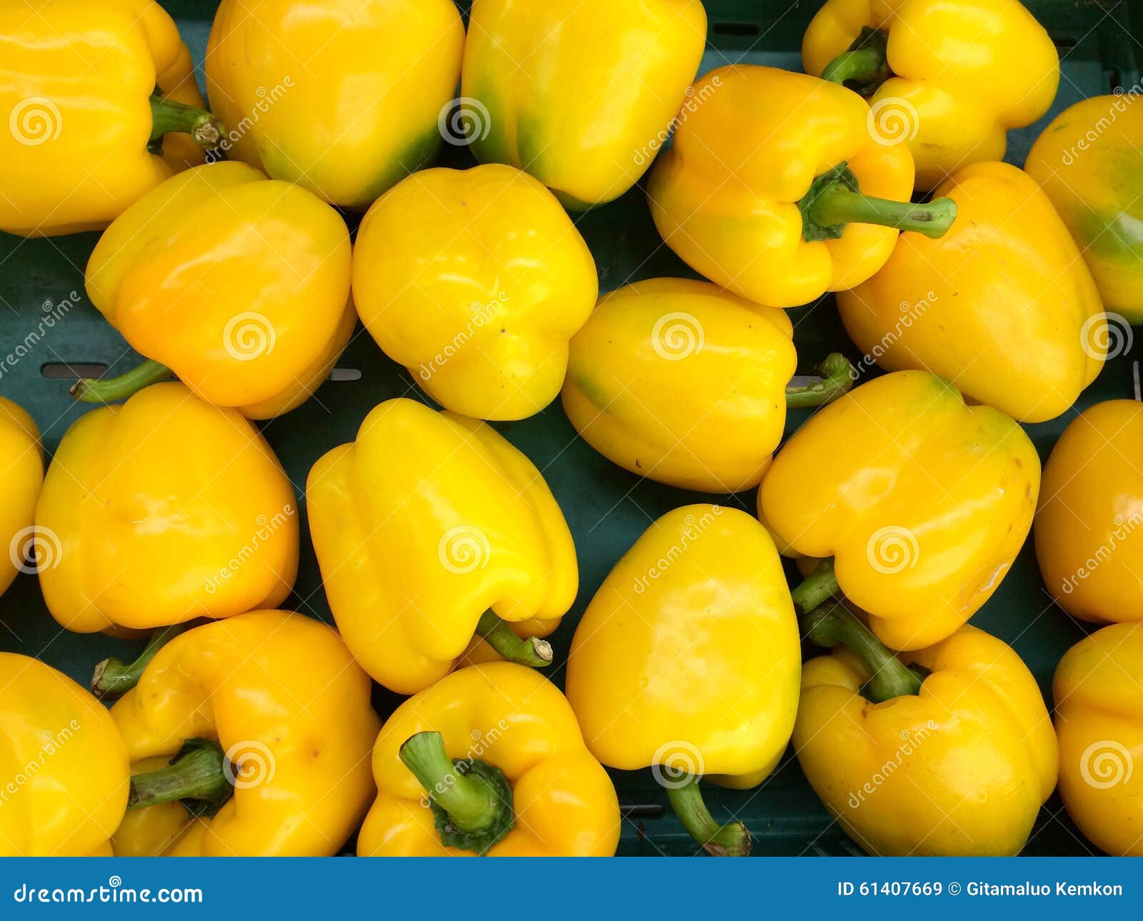 Gele Groene paprika stock afbeelding. Image of klok, thailand - 61407669